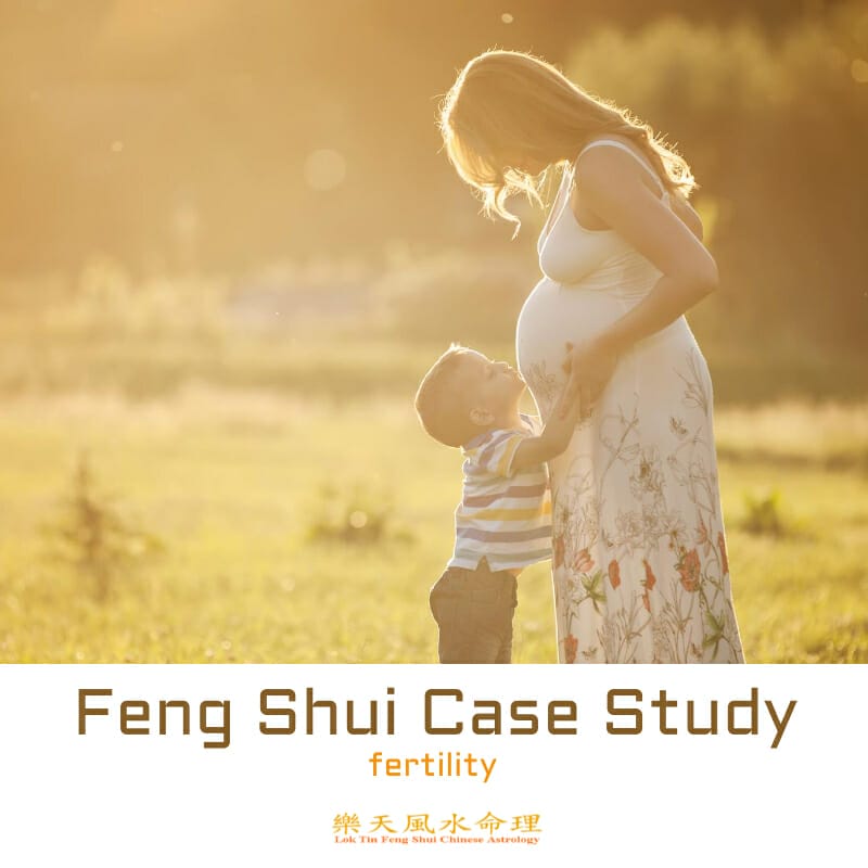 Feng Shui Fertility Case Study February 2019